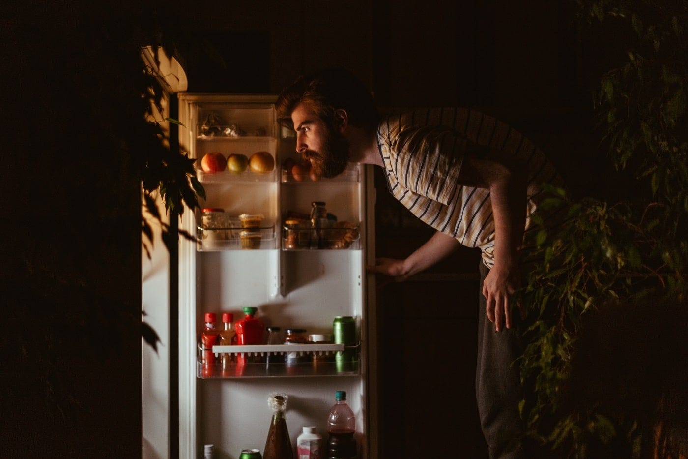 Night Owls: You Need to Know About These Health Risks! | BrainMD | BrainMD