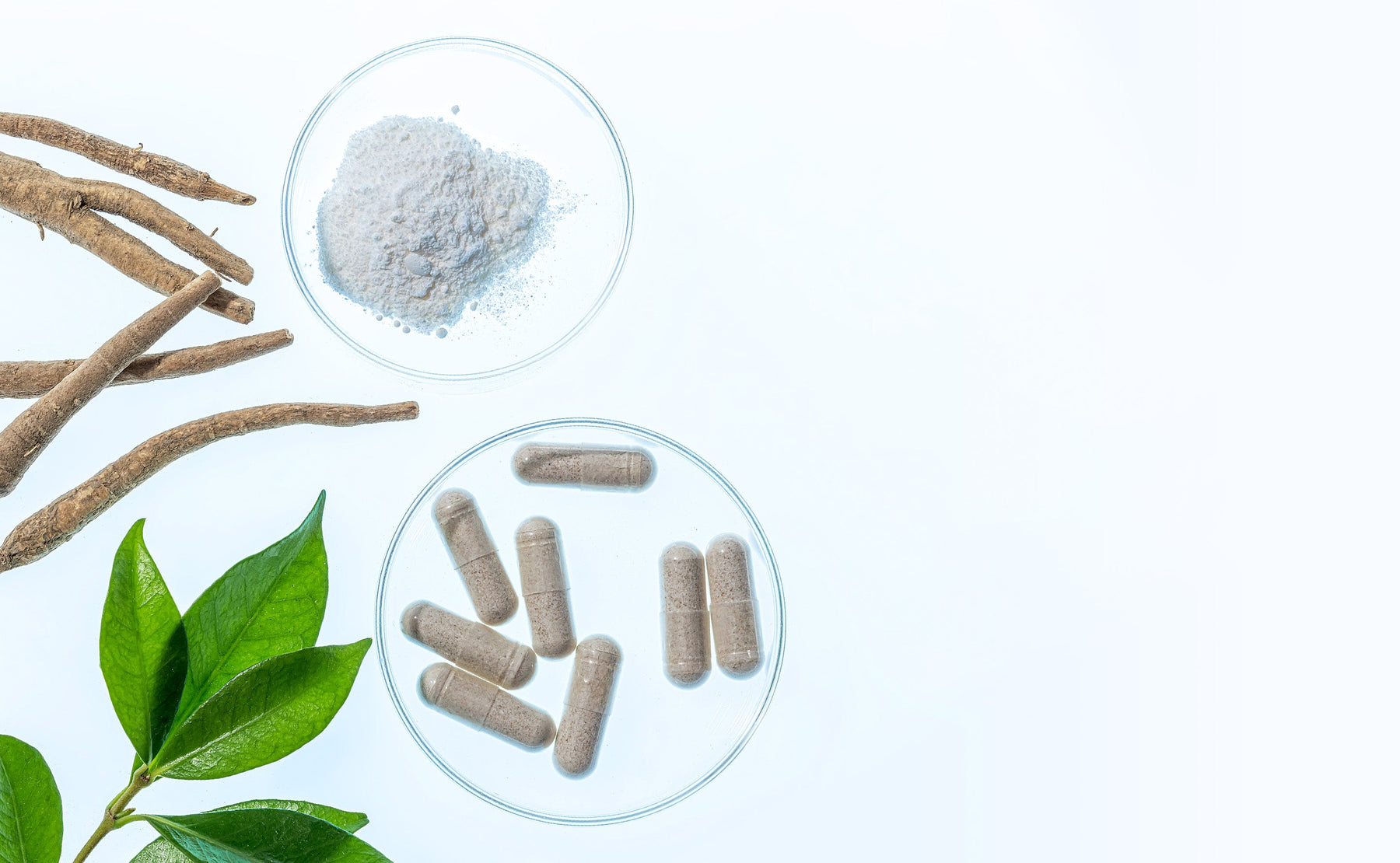 Calm My Brain | Natural Supplement for Anxiousness & Stress | BrainMD