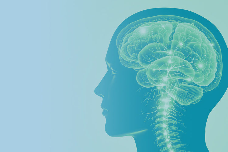 Calm My Brain | Natural Supplement for Anxiousness & Stress | BrainMD